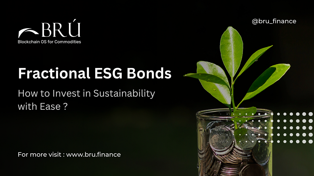 Fractional ESG Bonds: How to Invest in Sustainability with Ease ? | by ...