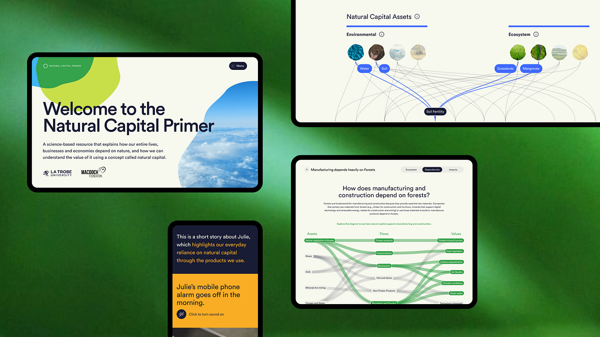 The Natural Capital Primer: your ultimate guide to understanding ...