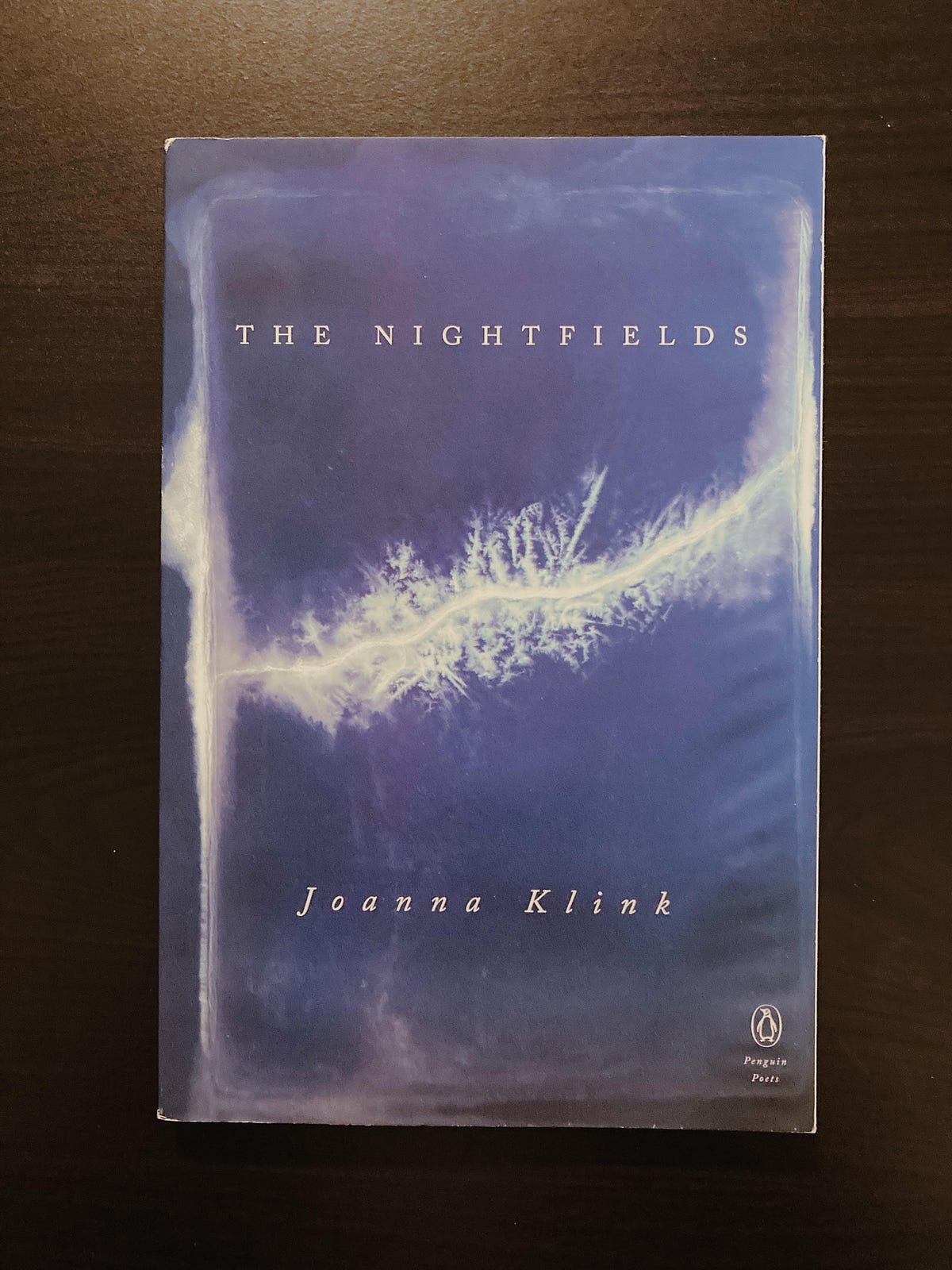 The Nightfields by Joanna Klink. A Poetry Book Review | by Christine ...