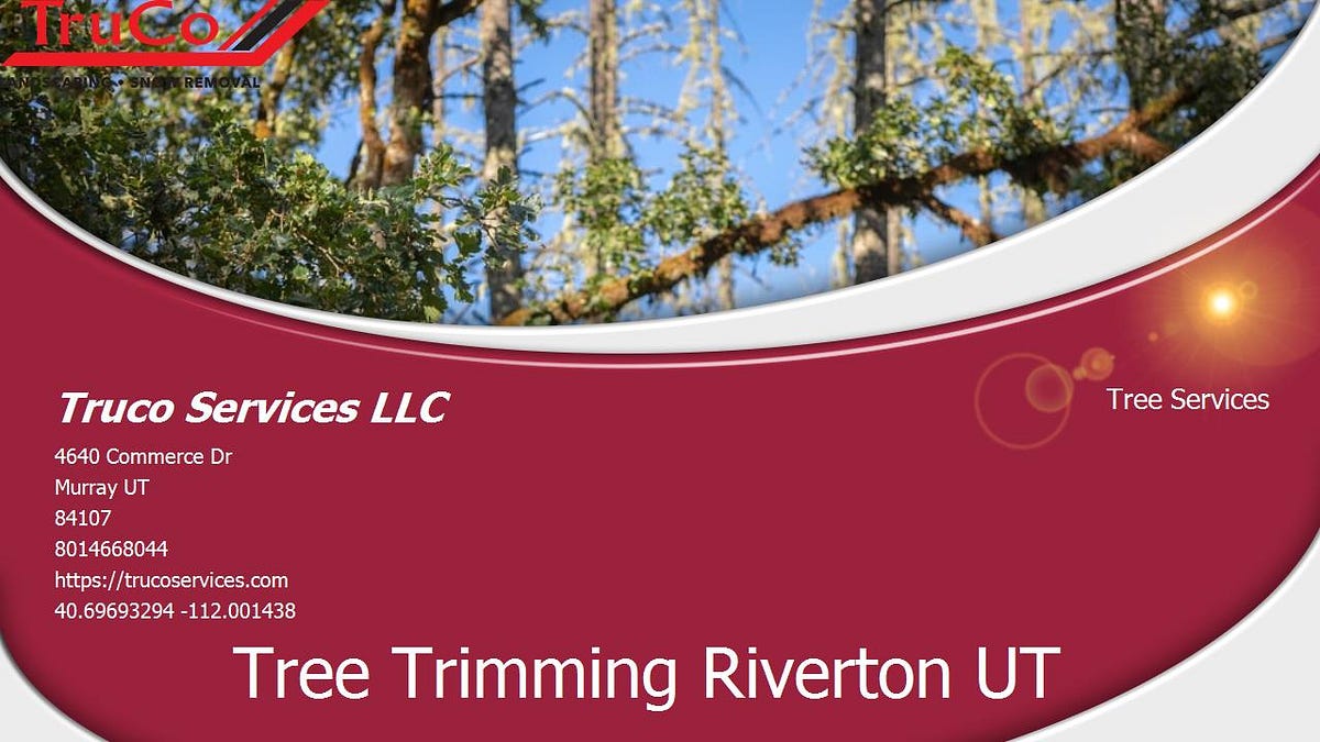 One of The Equipment For Tree Trimming Service | by Truco Services Blog ...