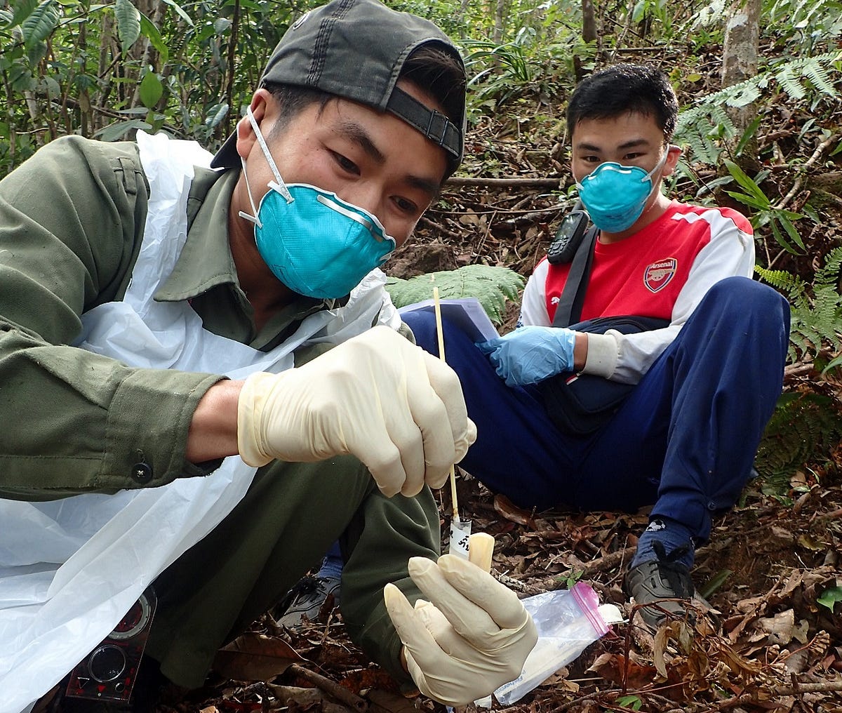 Wildlife Health Surveillance in Laos | One Planet, One Health, One Future