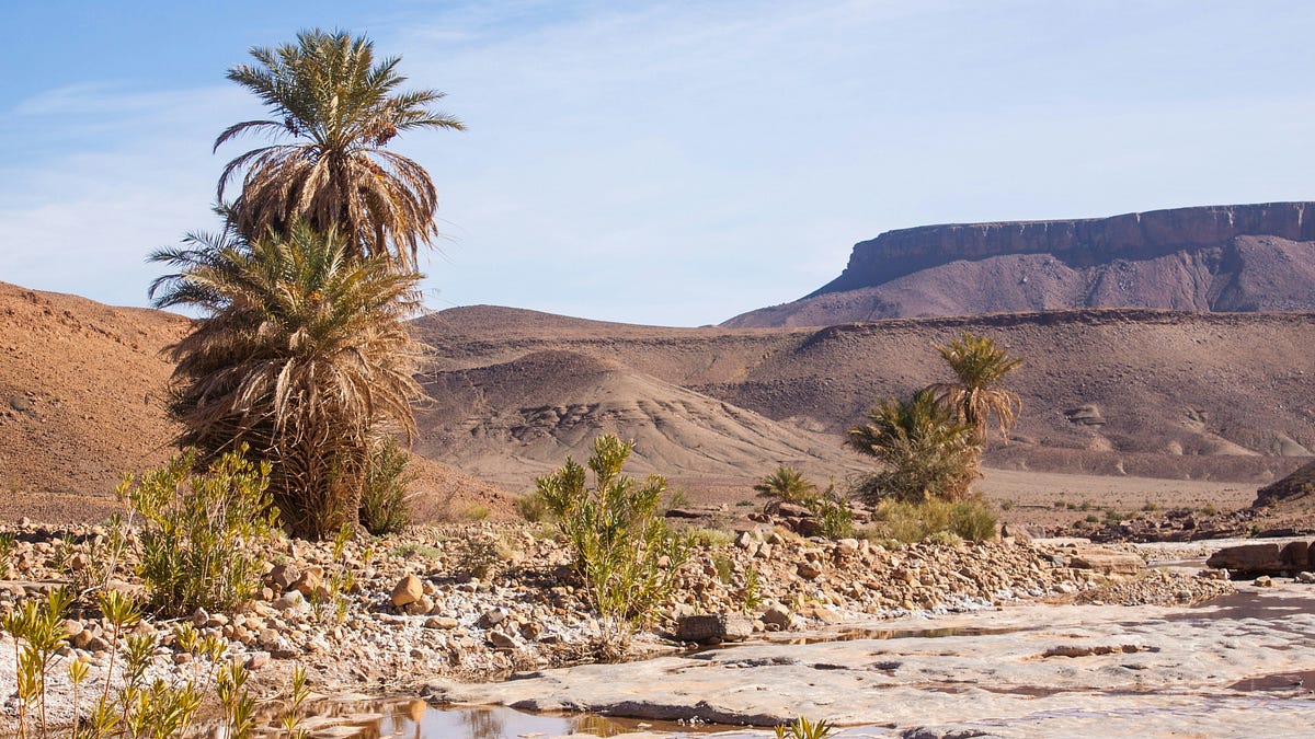 How to See What Network Your Docker Container Is On: A Comprehensive Guide | by WhatInDev ...