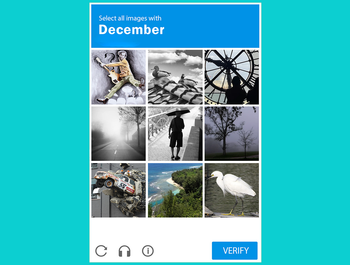The Best of December. From the 52 Week Photography Project | by Rodrigo ...
