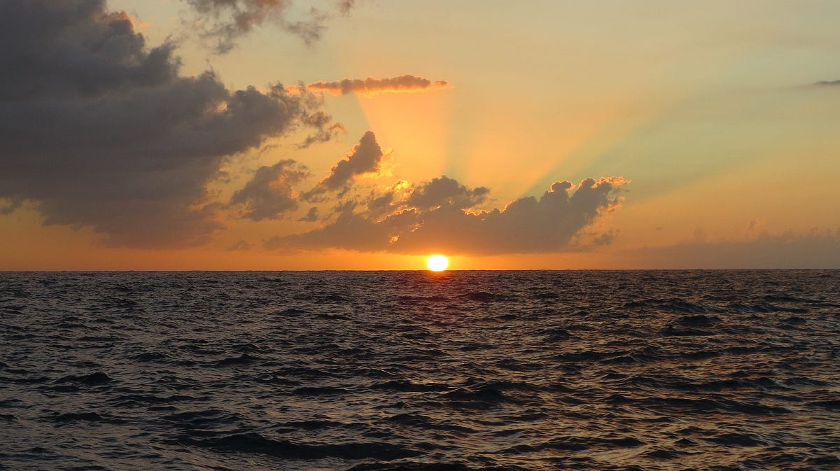 Sun Meets the Sea. “I never really thought about it,” she… | by Jenita ...