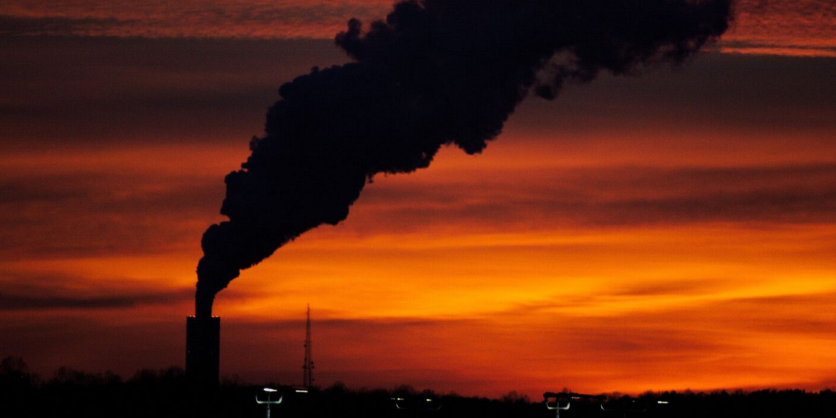 Air pollution can cross the placenta | by Raheel Mir | Medication ...