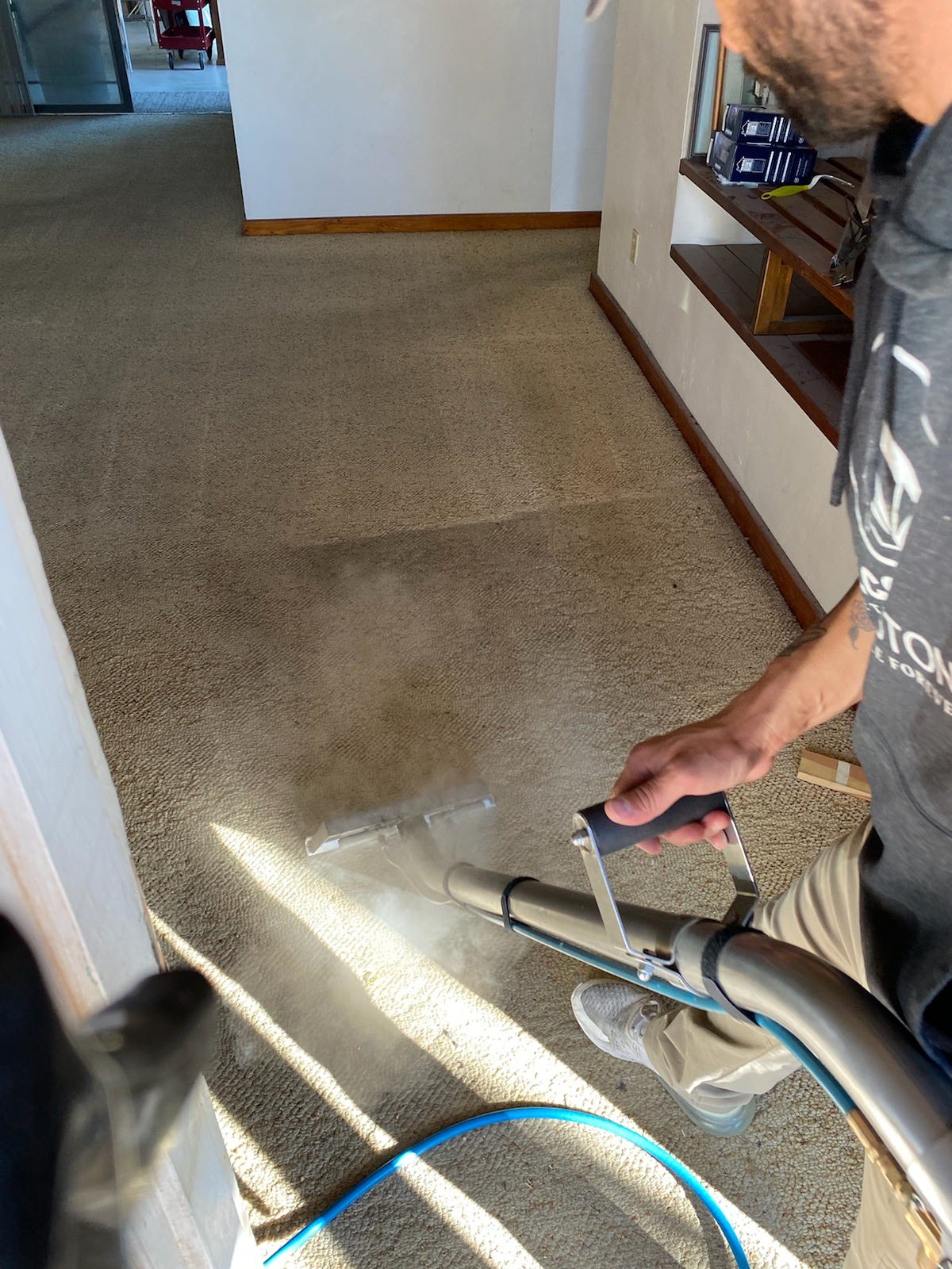 How to Make High-Traffic Carpets Look New - Carpet Police - Medium