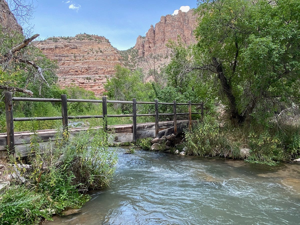 Hiking Jones Hole and Ely Creek Falls | by Kim Clawson | Gardening ...
