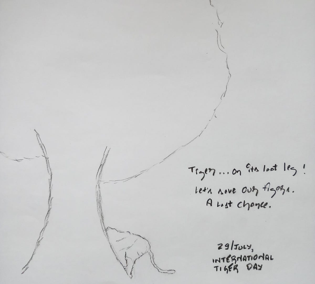 The striped wildcat…on its last leg. | by SanthoshPensLines | Medium