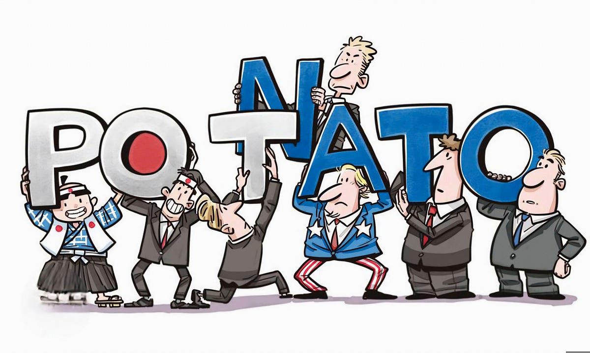 NATO POTATO. Enough of the outdated nonsense called… | by Colin ...