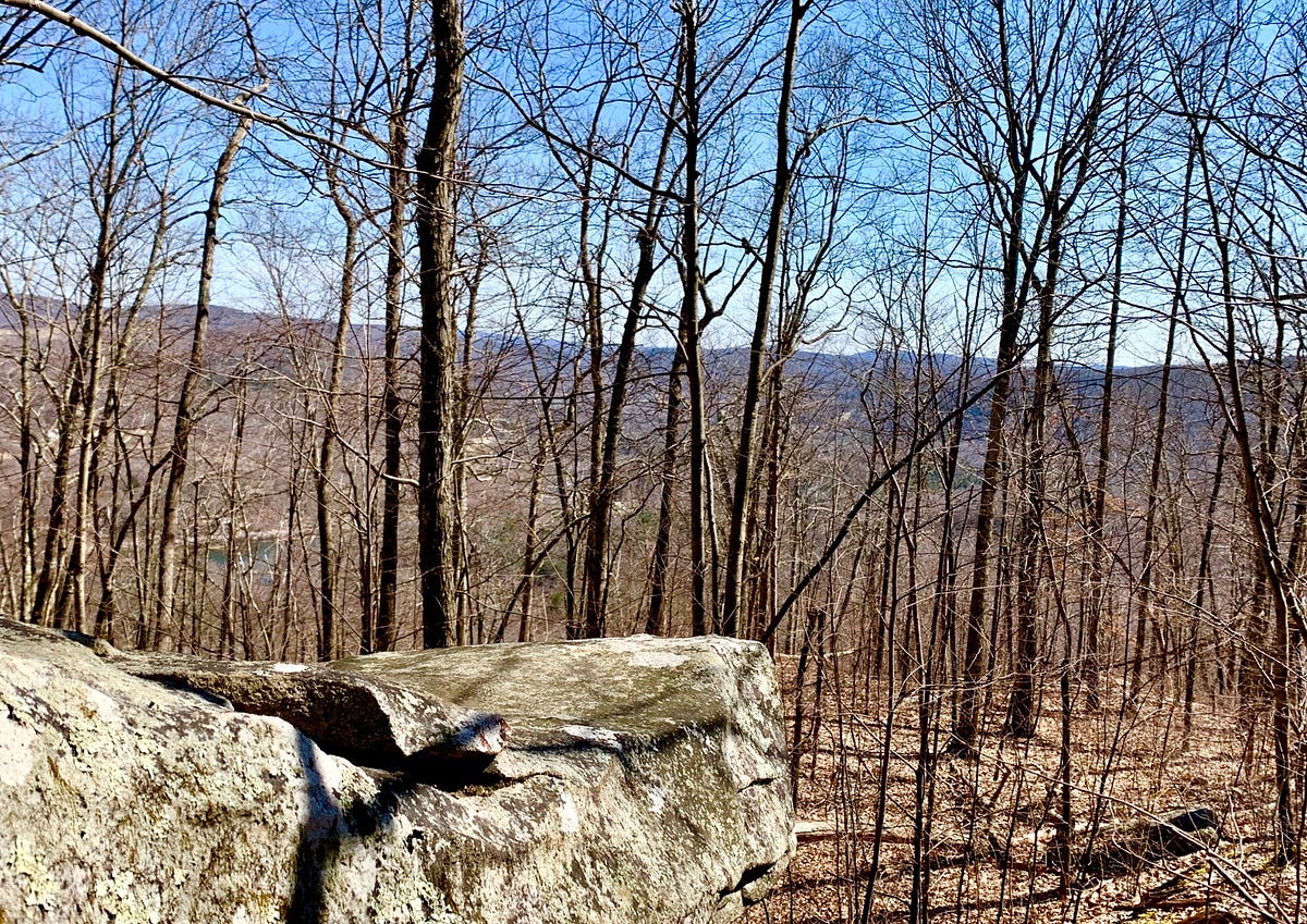 Talkin’ Appalachian Trail Blues. Red-tail hawked | by Jason Davis | Medium