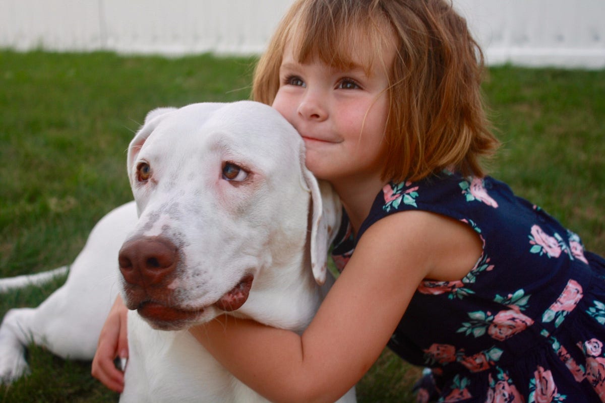 5 Reasons to adopt a pet. How I see it, adopting a pet is a… | by ...