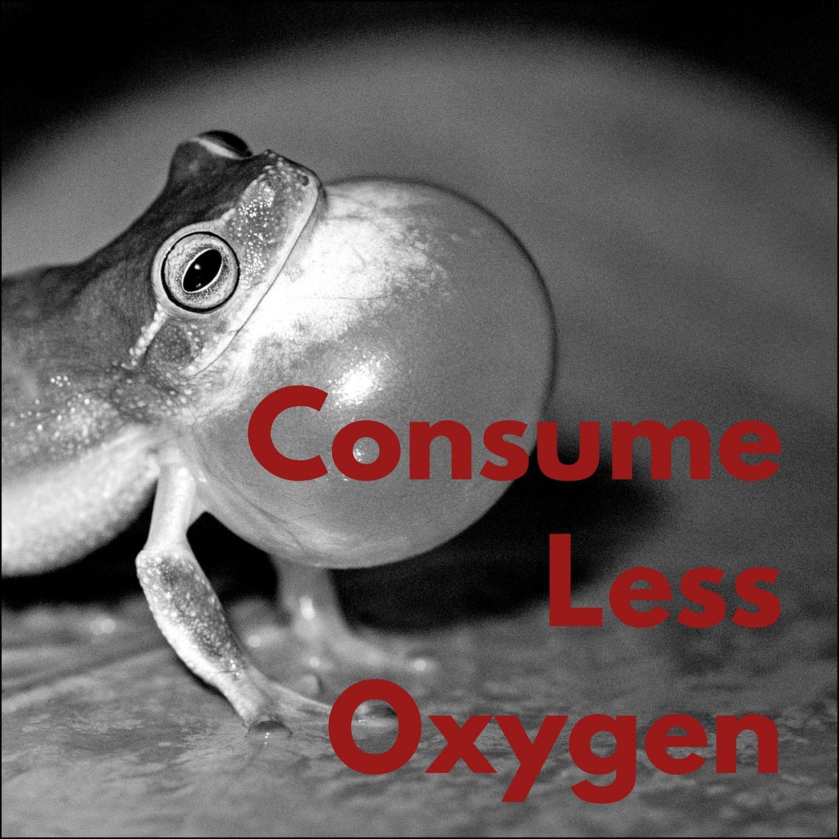 Consume Less Oxygen. Describing the Amazon rainforest as… | by ...