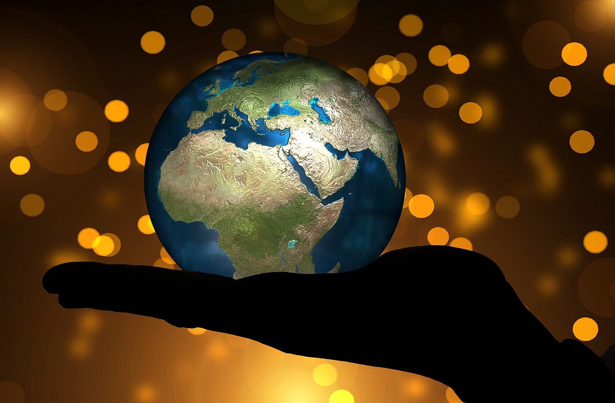 10 Environmental Organizations to Donate to this Holiday Season | by ...