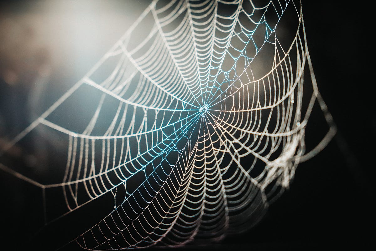 The Bug Man Cometh. And the ongoing conflict plays out on… | by Ann ...