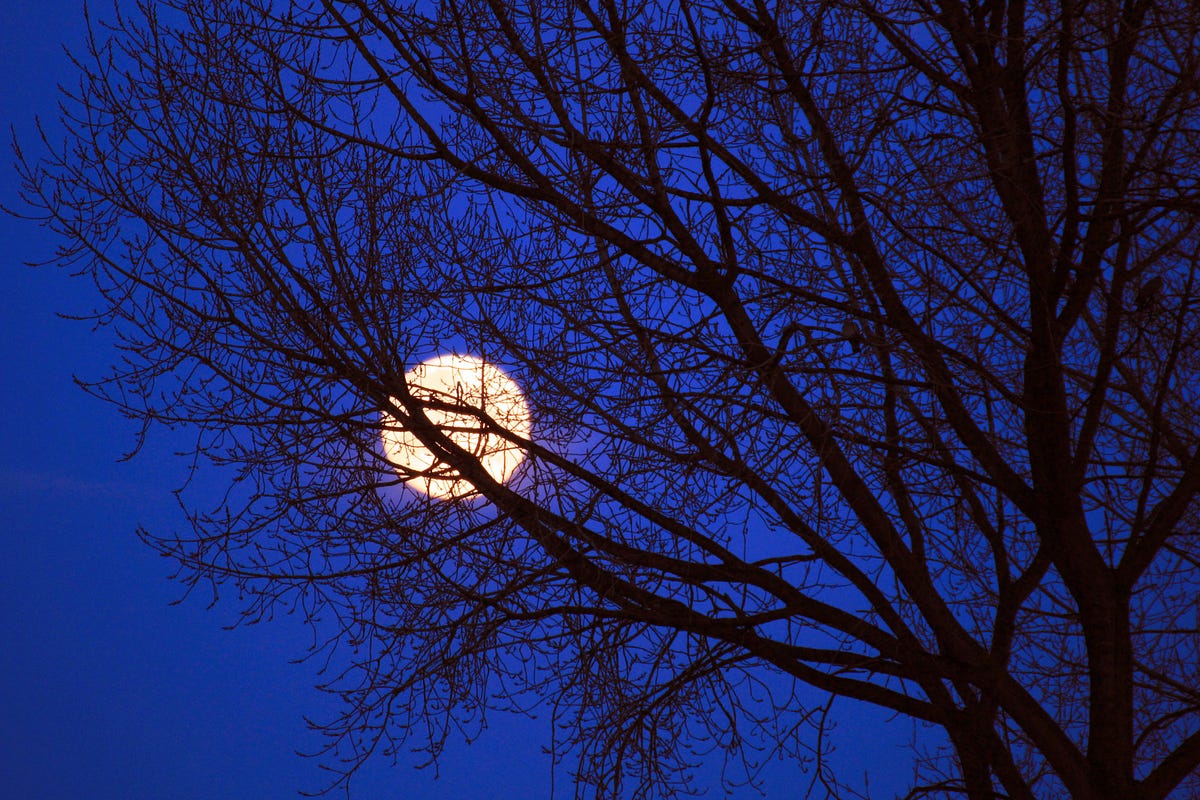 The not-so-full moon. Old habits die hard. And this seems… | by Kirstin ...