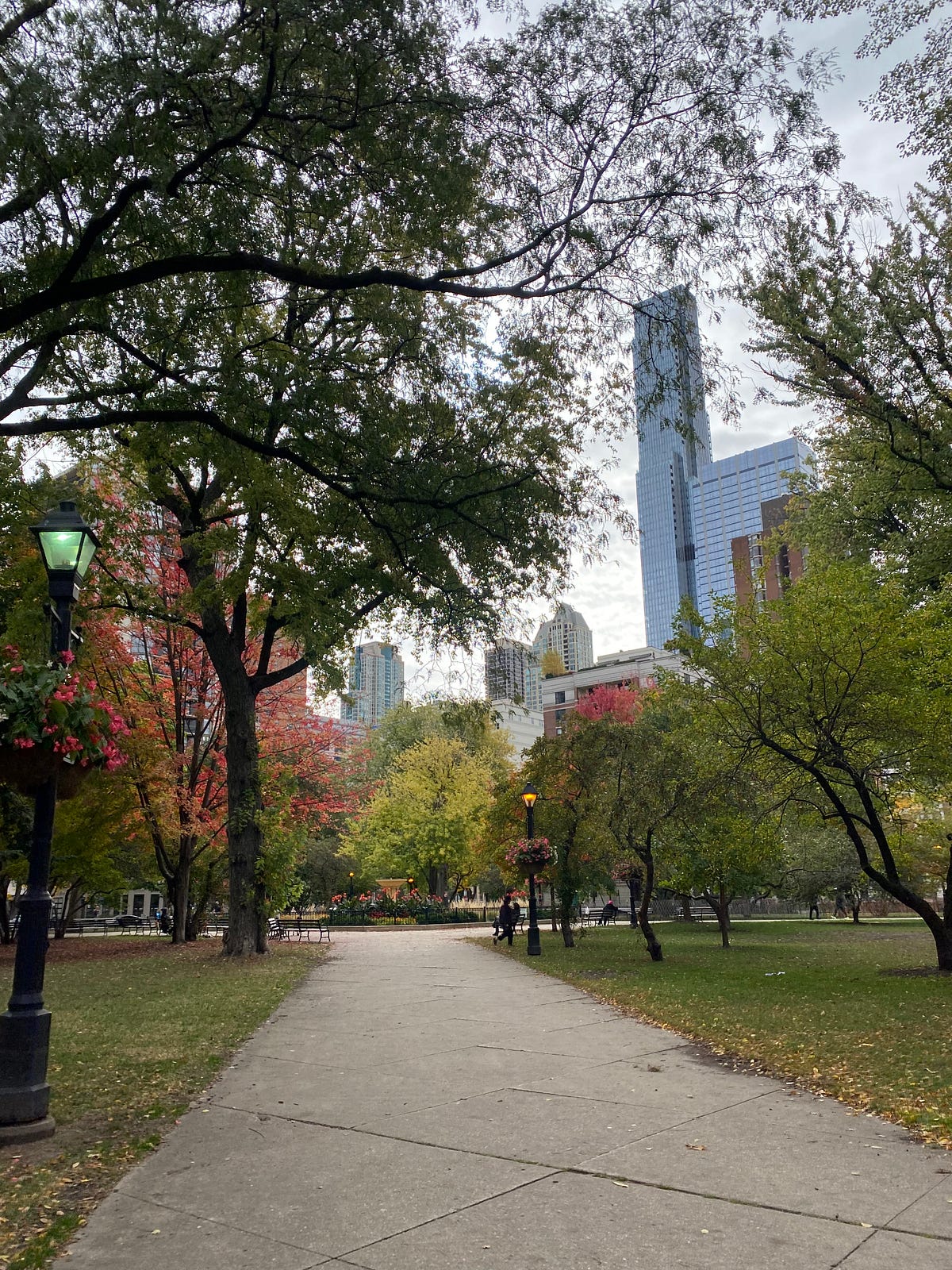 Sunday Morning Thoughts. Being a Chicago native is something I… | by ...