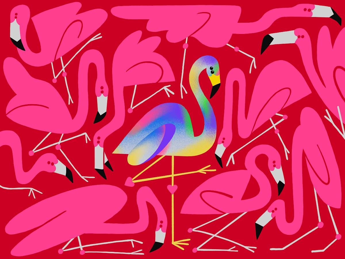 Ask Adobe Design: How can applicants stand out when applying to design ...