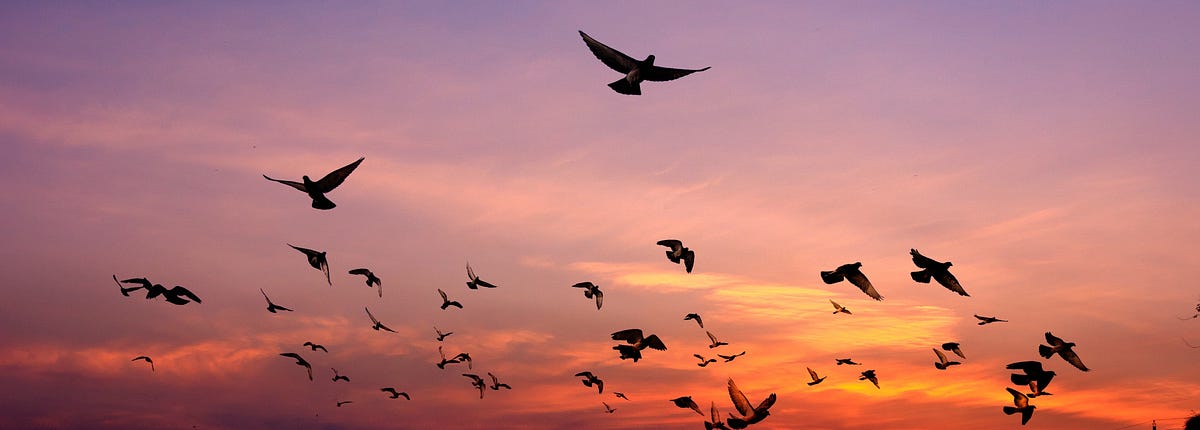 Rules for singing well together. Applying clear principles for… | by ...