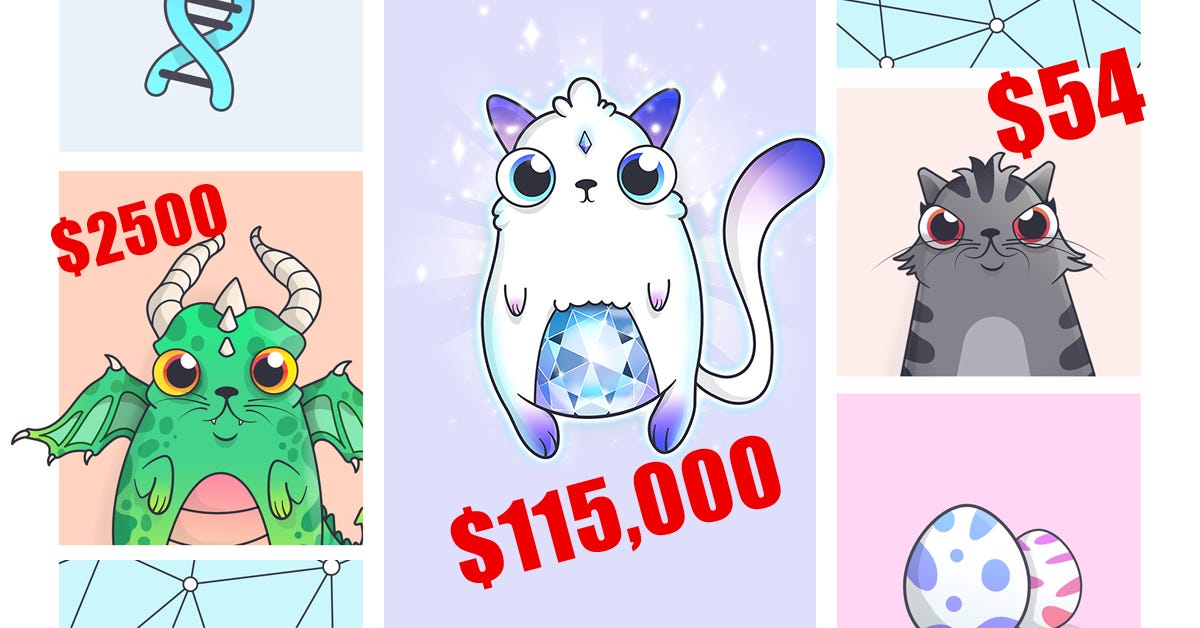 People are spending $millions on digital cats and here’s why it makes ...