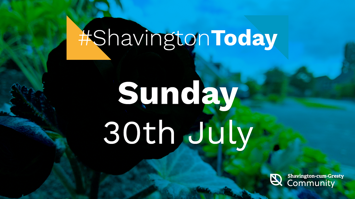 Sunday 30th July: What’s On. Find out what’s going on in… | by Laura ...