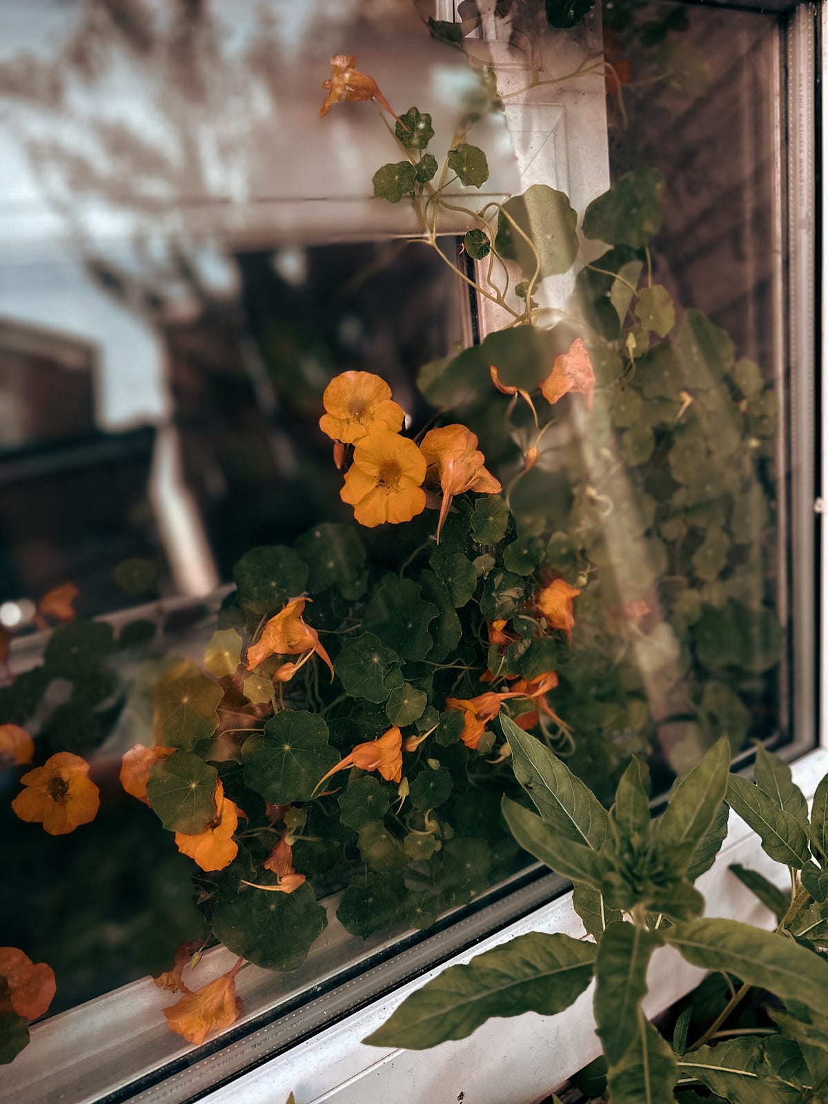 Navigating My Niche: Embracing Everything and Anything | by shreya ...