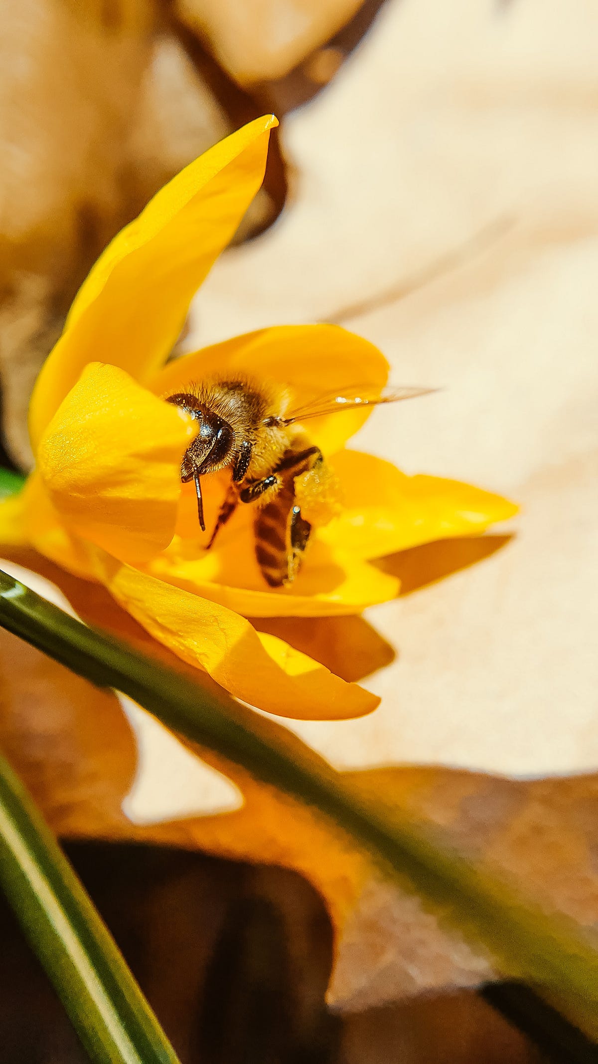 What Really Matters in Work. Take care of A listed players. Be… | by ...