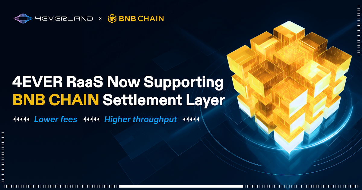 New update! 4EVER RaaS Now Supporting BNB Chain Settlement Layer | by ...
