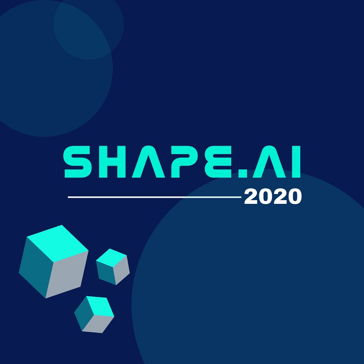 ShapeAI