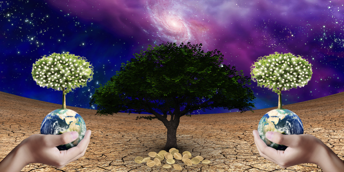 Tree of Life Seeds. What’s planted isn’t always in your… | by jules ...
