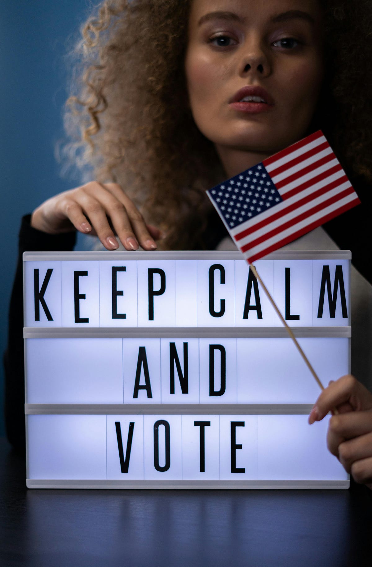 Veronica ‘s “Vote ‘24” Saga. Veronica had it all planned out —… | by ...