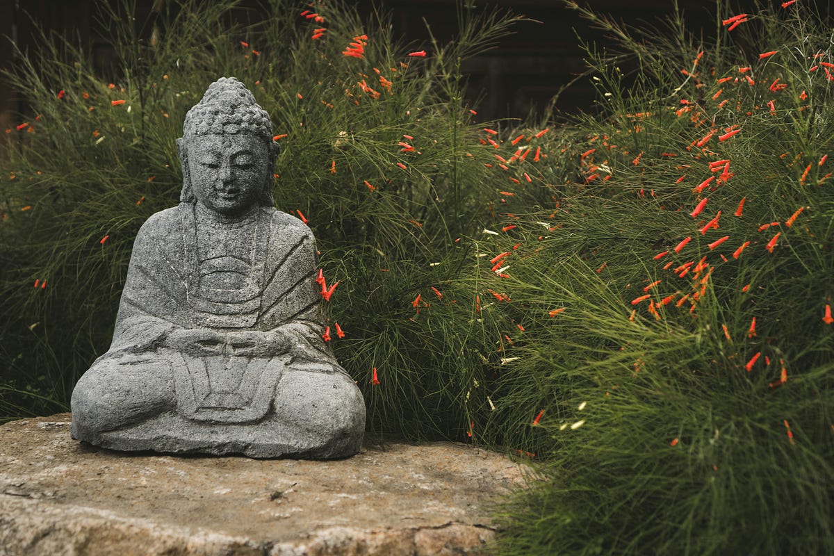 So, You Want to Be a Meditator? Here’s How I Did It | by Gary Buzzard ...