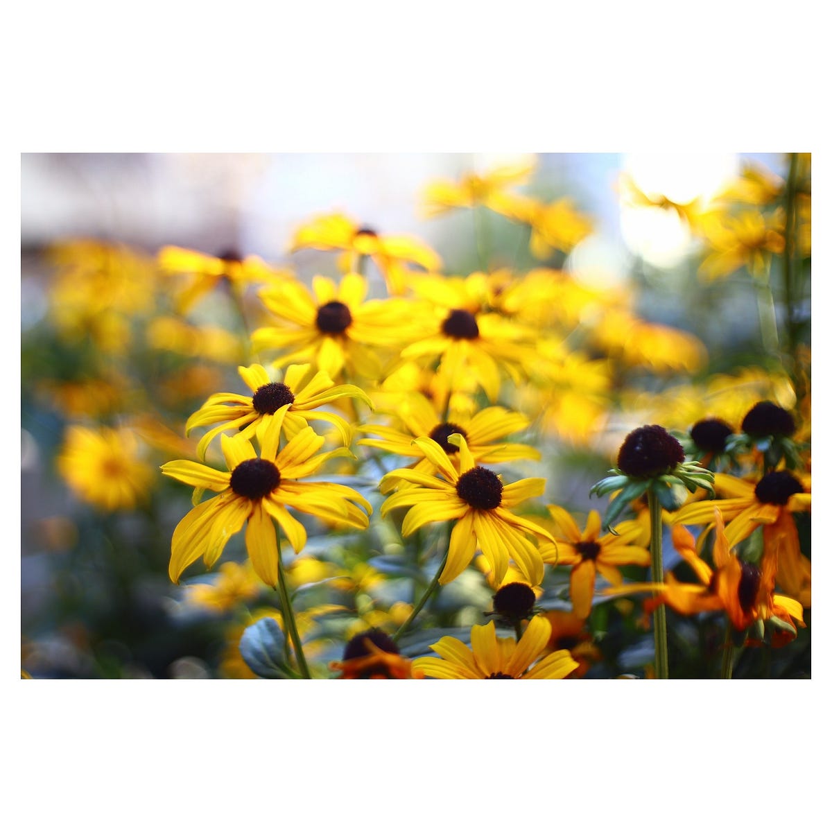 Untitled | by Vincent Cheung | Medium