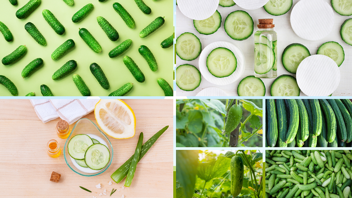 healthWhat are the Health Benefits of cucumber? | by Second Medic | Medium