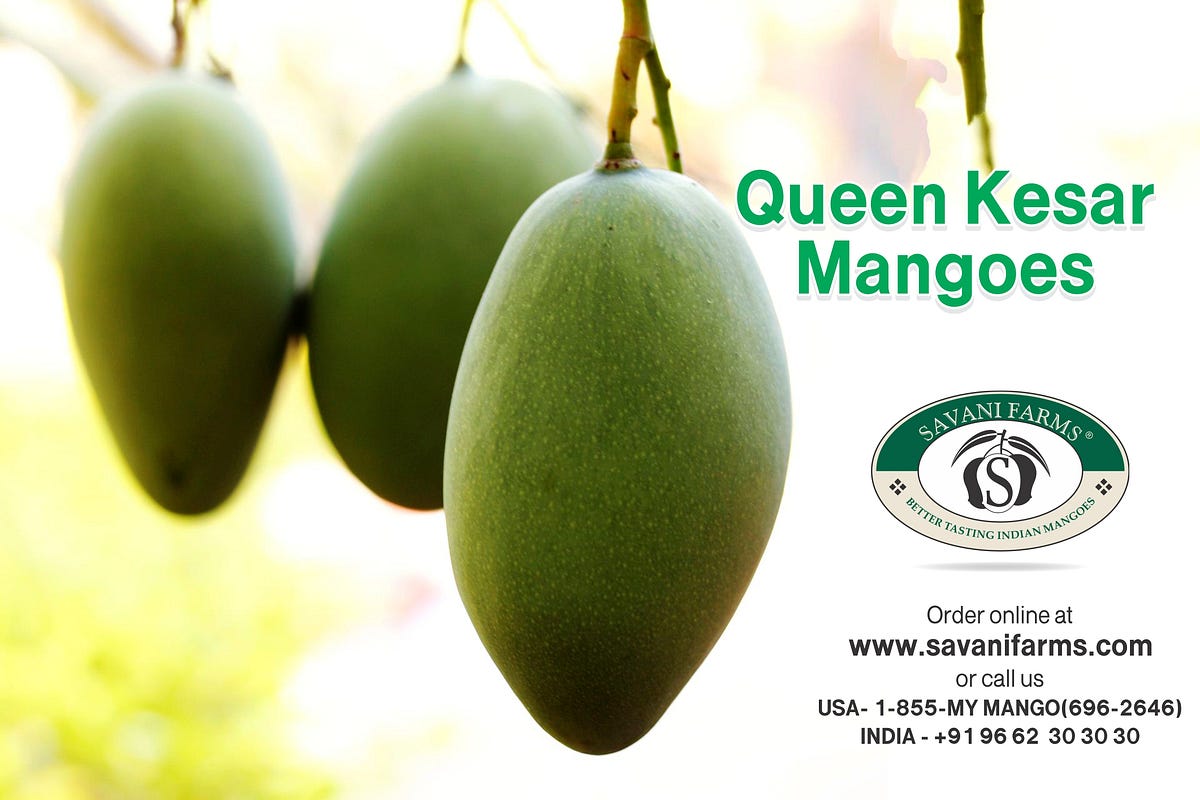 Kesar Mango Online Shop. Summer is right here and so is the… | by ...
