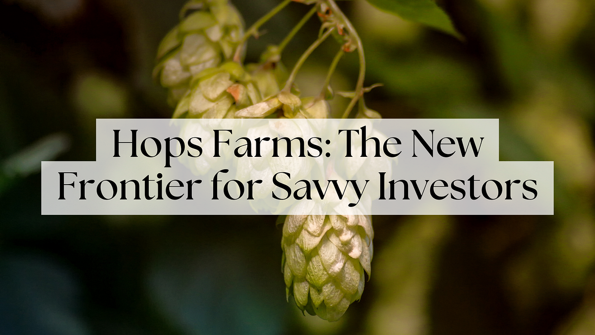 Hops Farms: The New Frontier for Savvy Investors | by Brogan Lambert ...