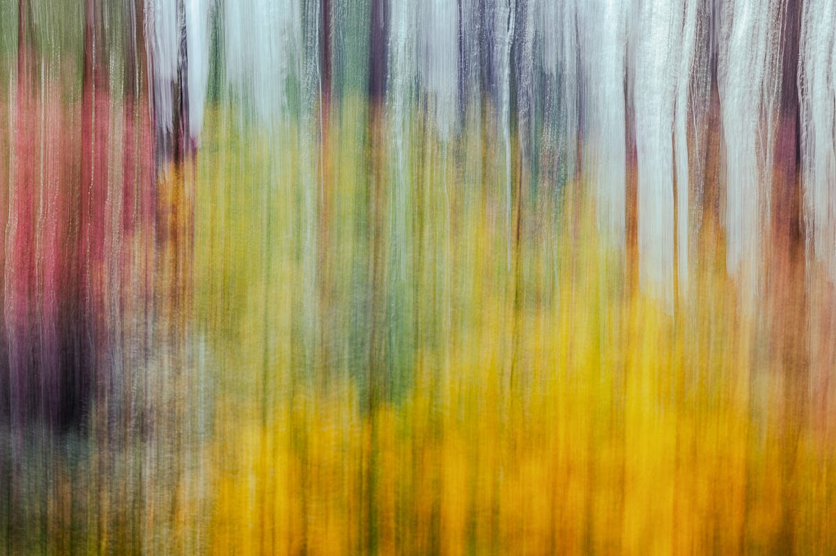 Chromophobia and the Return of Colour | by Alvin Greis | Jun, 2025 | Medium