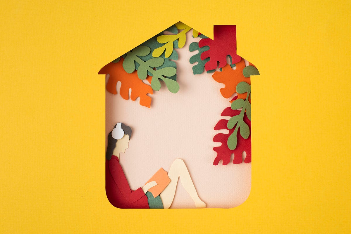 Home Grown Homes. What materials did you use to build… | by steven ...