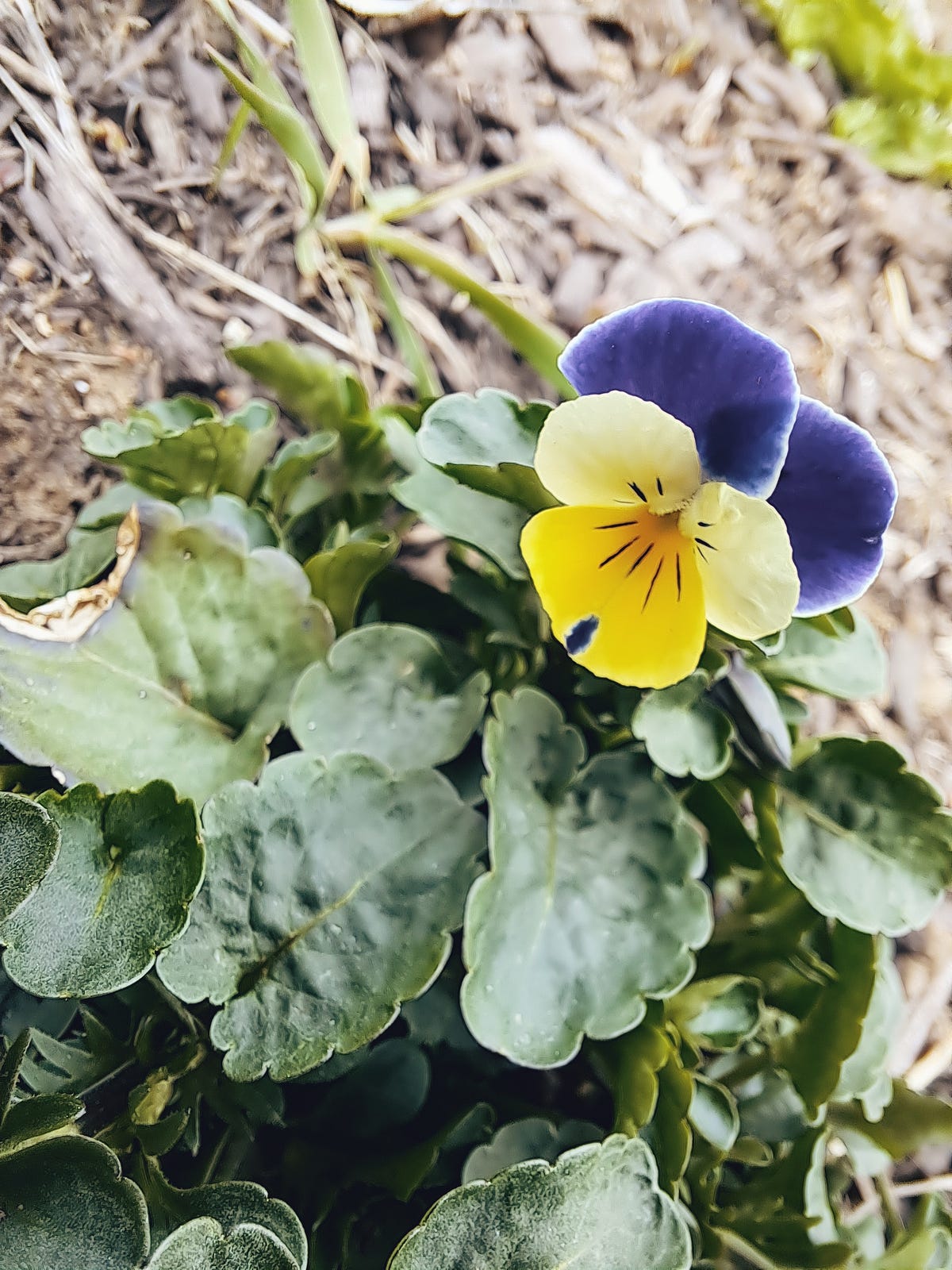 On the need for quiet. Right now I crave quiet like some crave… | by ...