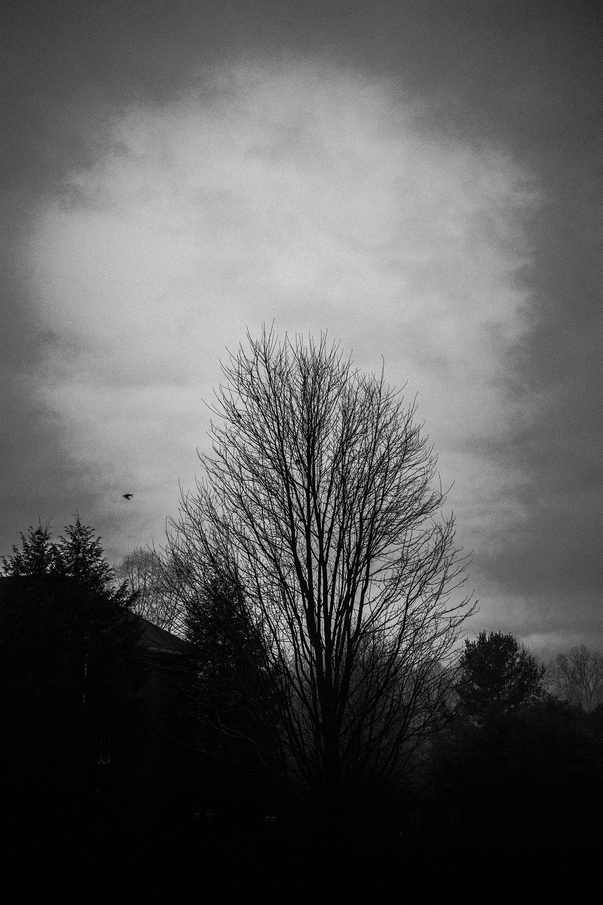 Hesitation kills. I wanted to follow up to my last post… | by Tim Bindner | Medium