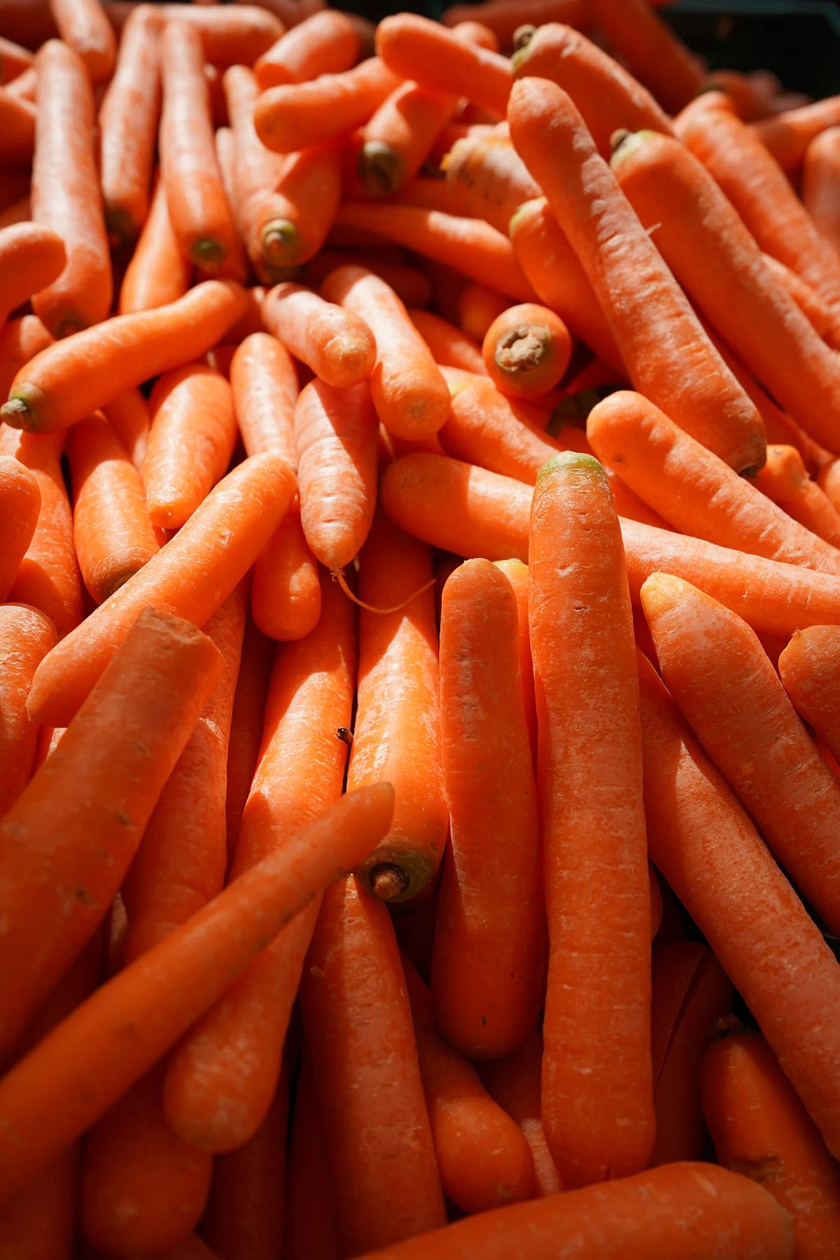 “The Fresh Prince of Wellness: The Power of Raw Carrot Juice” | by ...