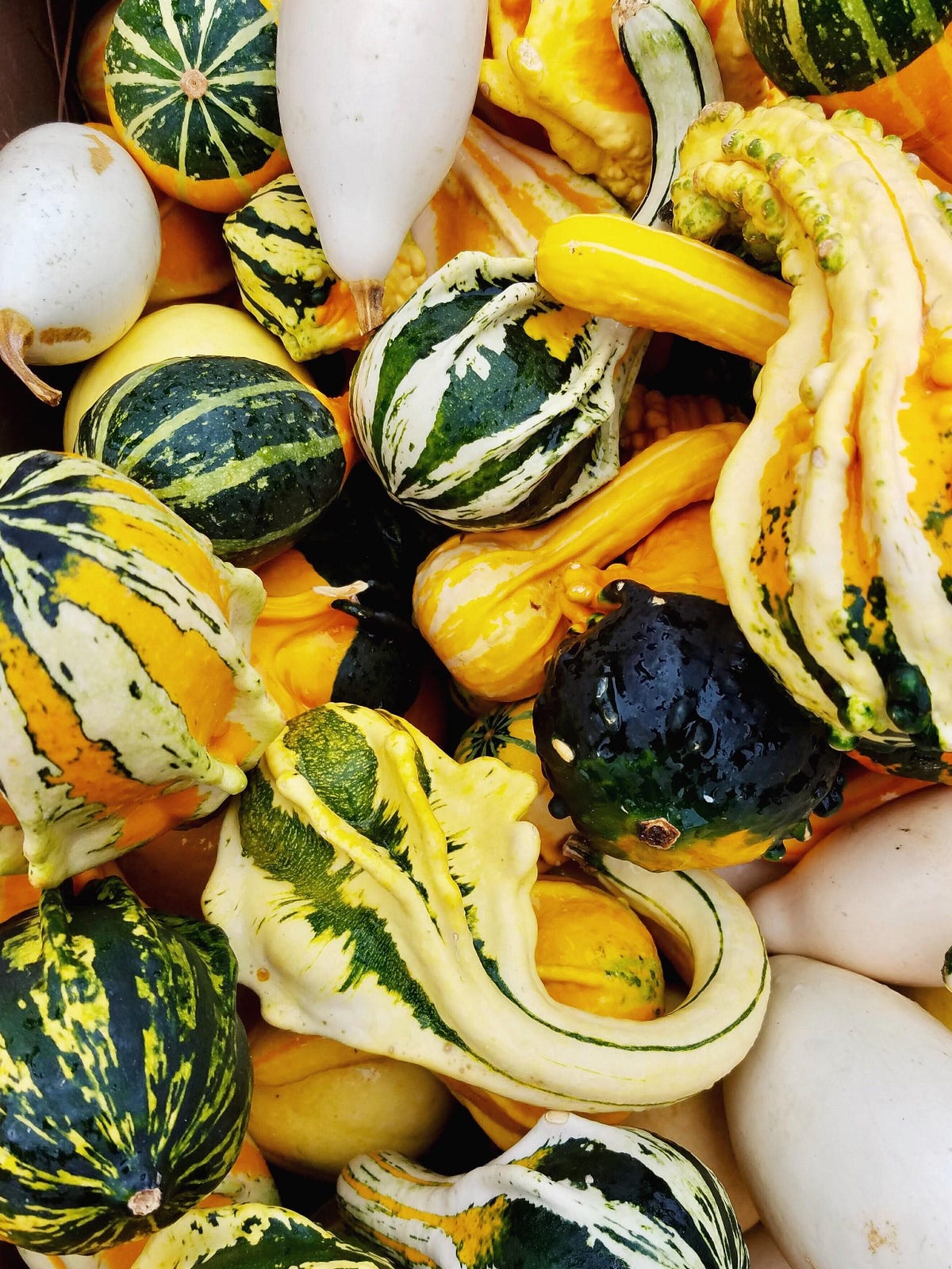 irework overlay. Fireworks are a wonderful way to add… | by Tony | Medium