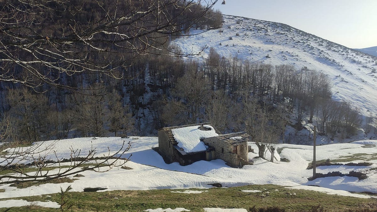 Embracing Life and Work in a Remote Cabin: A Digital Nomad’s Journey to ...