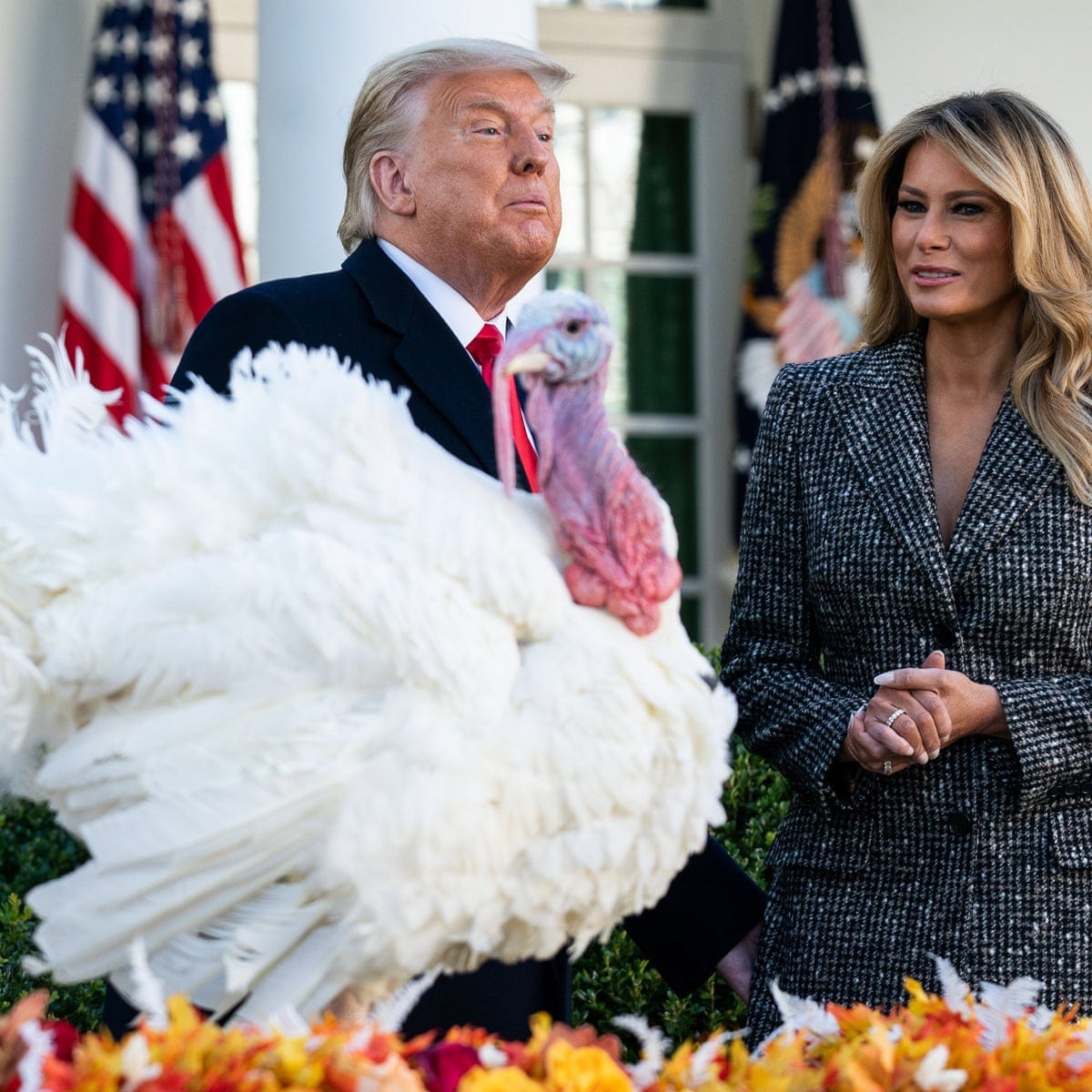 Let’s Make This a Trump-Free Thanksgiving | by Will Leitch | Medium