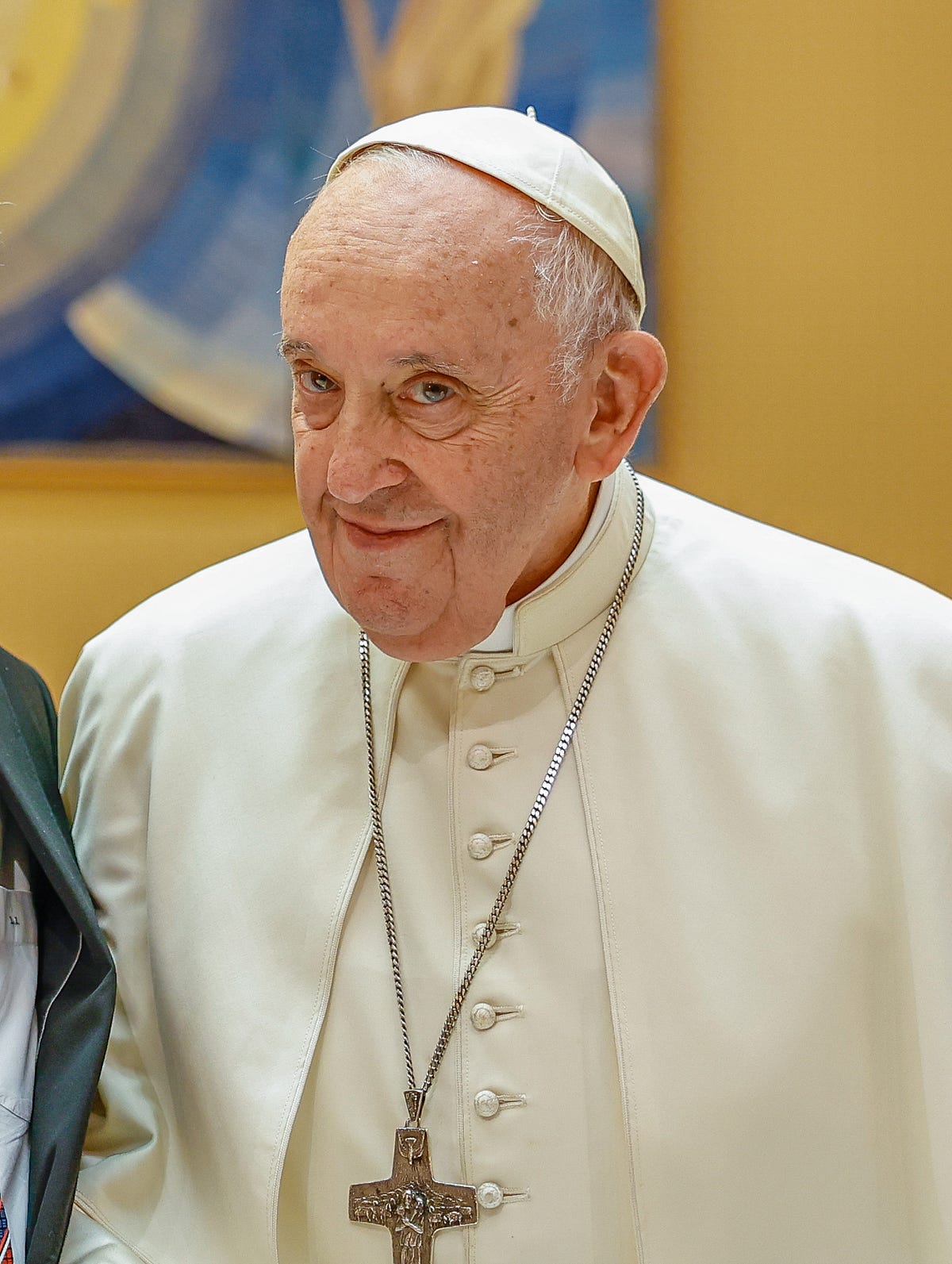 Pope Francis Named 21 New Cardinals and I Wasn’t One of Them…Again | by ...