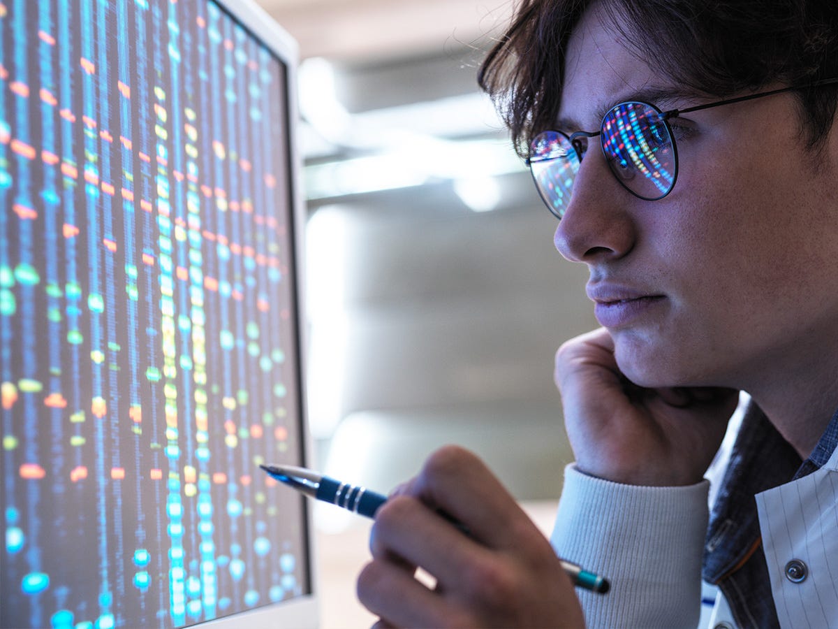 Know Your Project’s Limits by Stress Testing | by Azhra Yashna Azka ...