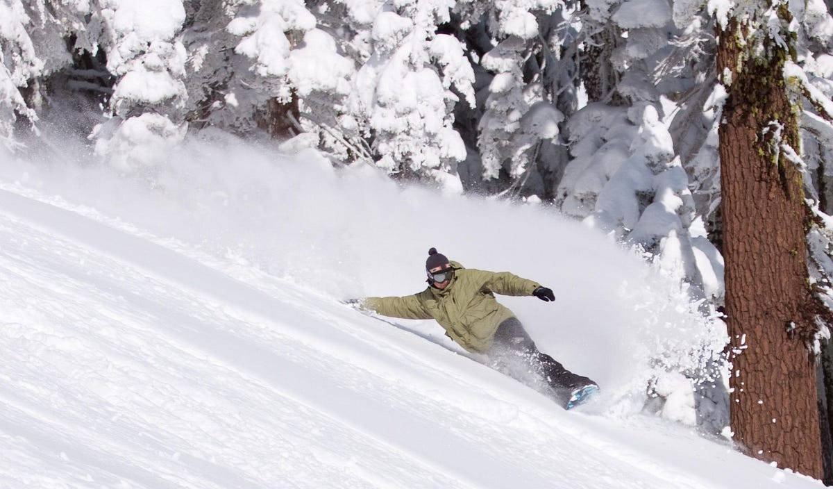 Focus on the Snow, Not on the Trees | by Edward Sullivan | Medium