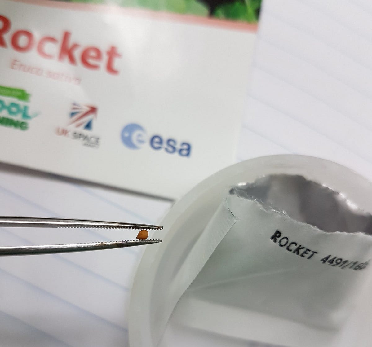 Can sending seeds to space prepare them for more stressful growing ...