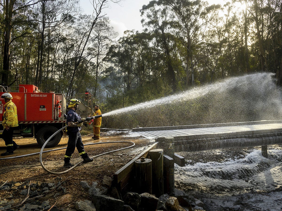 Australia is Still Burning, here’s what you can do. | by Aya Cathey ...
