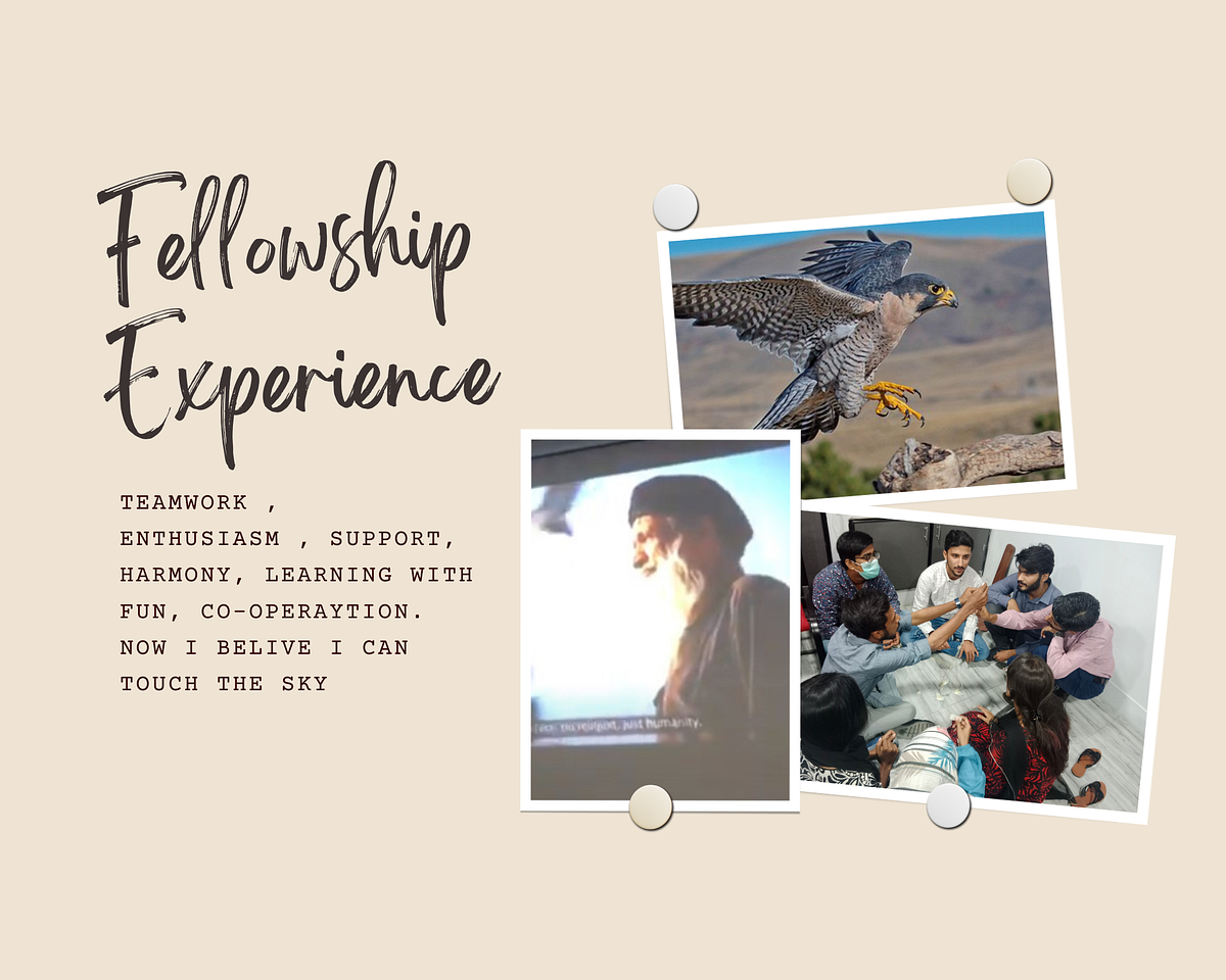 My Amal Fellowship Journey - Samra zakir Hussain - Medium