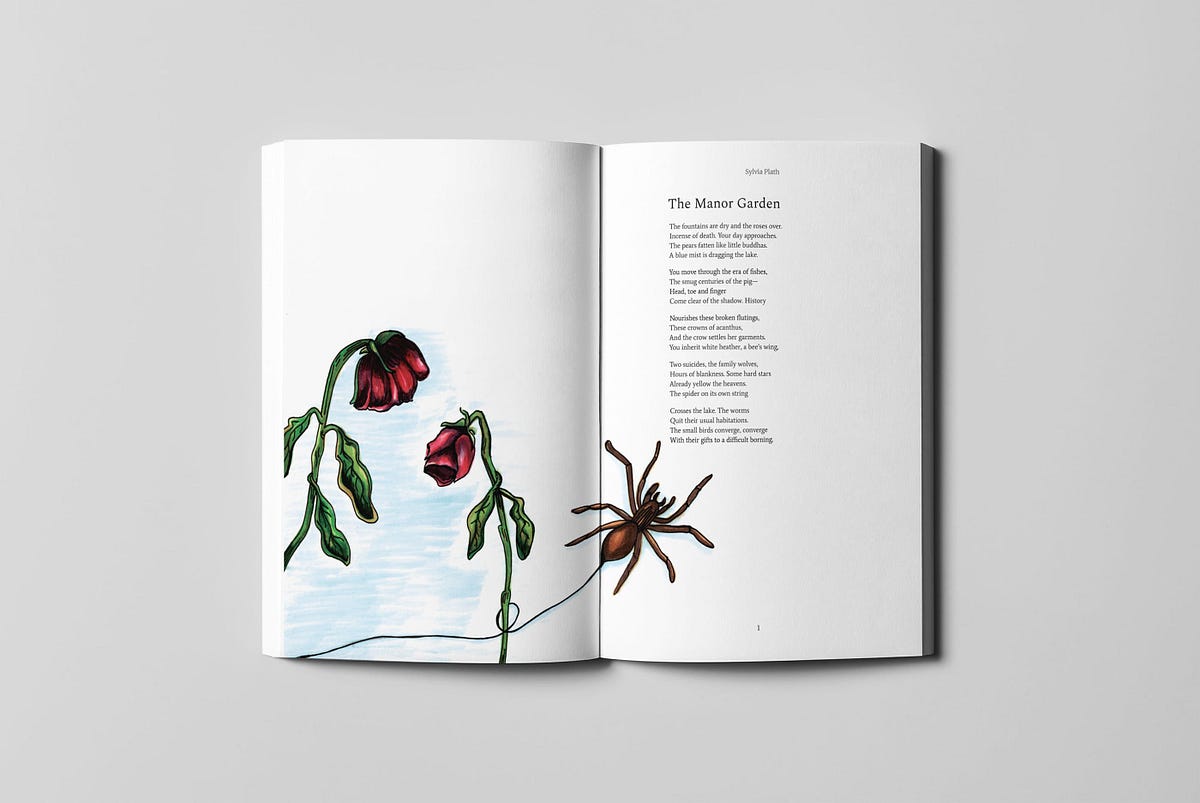Poem Book Illustrations
